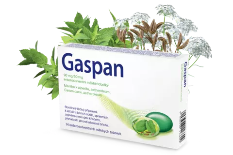 Gaspan krabička máta kmín